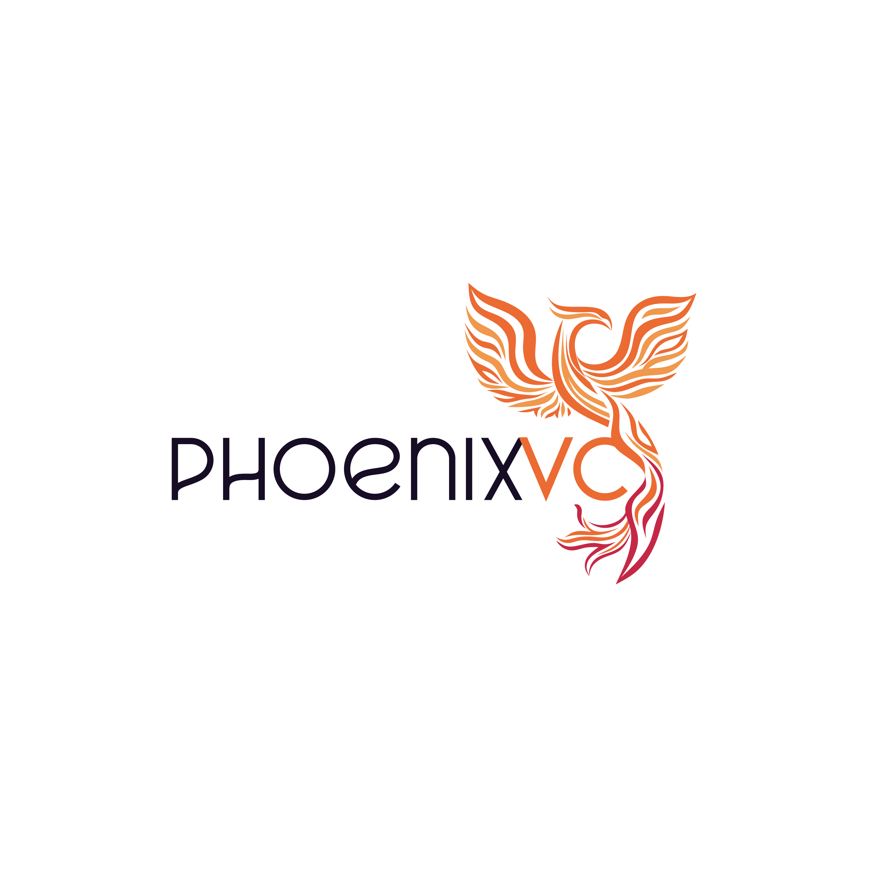 Phoenix VC | Dynamic Design